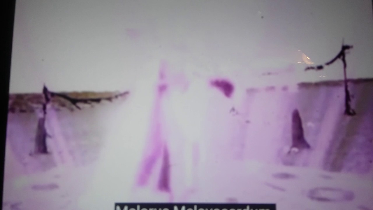 Power rangers mystic force imperious growth 2 - YouTube