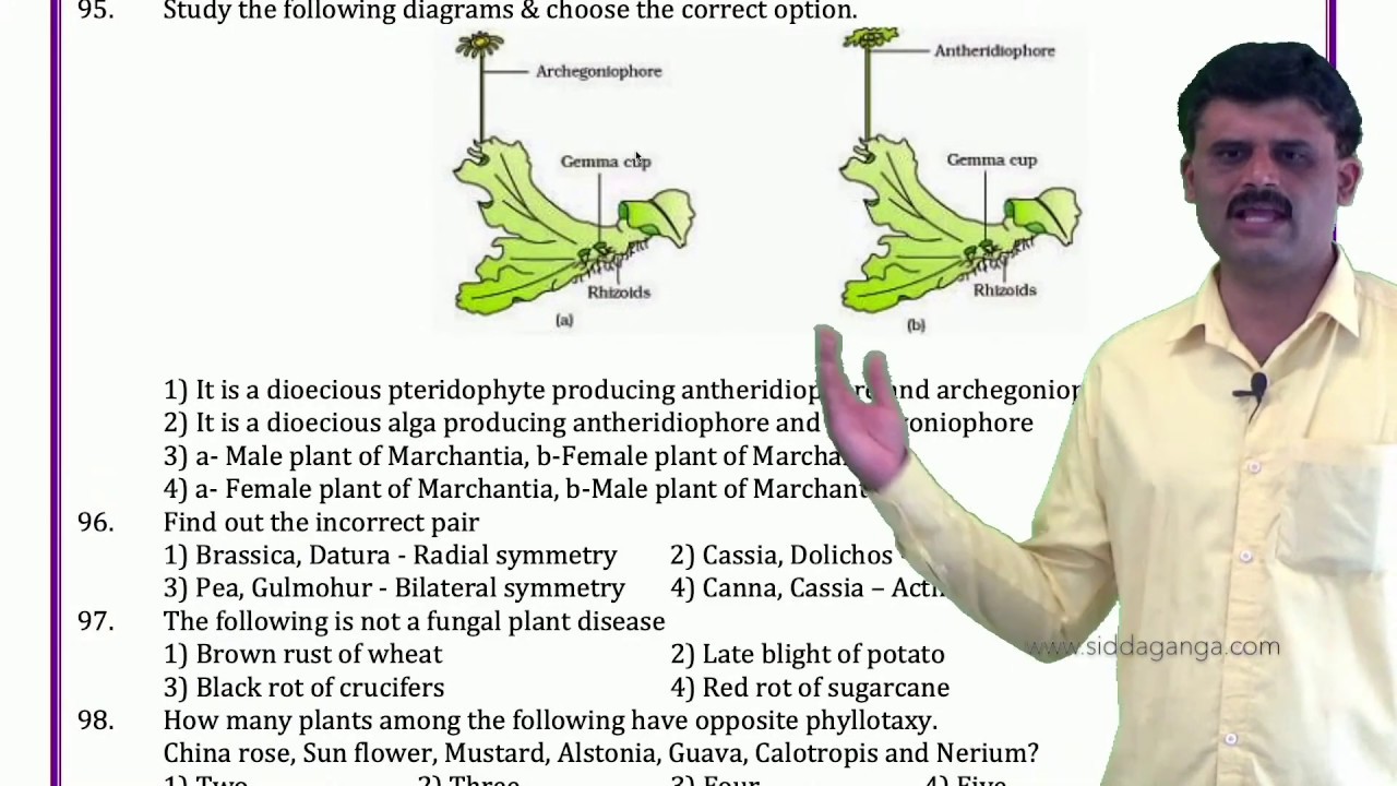 2 PUC - BIOLOGY - MEGA TEST 26 - YouTube