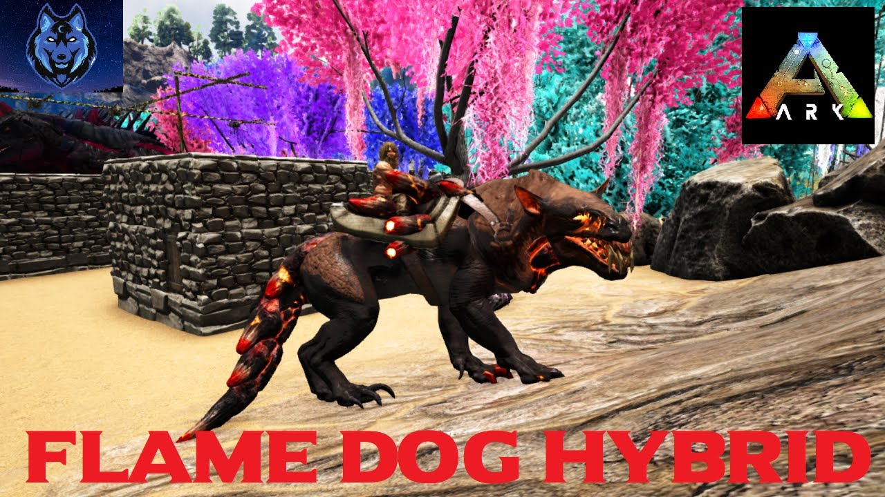 This Fire Dog Is Insane - Ark Hybrid - YouTube