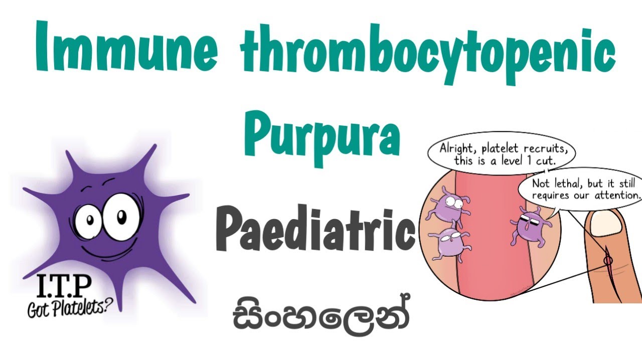 Immune thrombocytopenic purpura / ITP / සිංහලෙන් - YouTube
