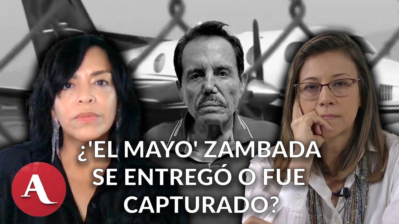 ¿'El Mayo' se entregó o fue capturado? Conoce las versiones de María ...