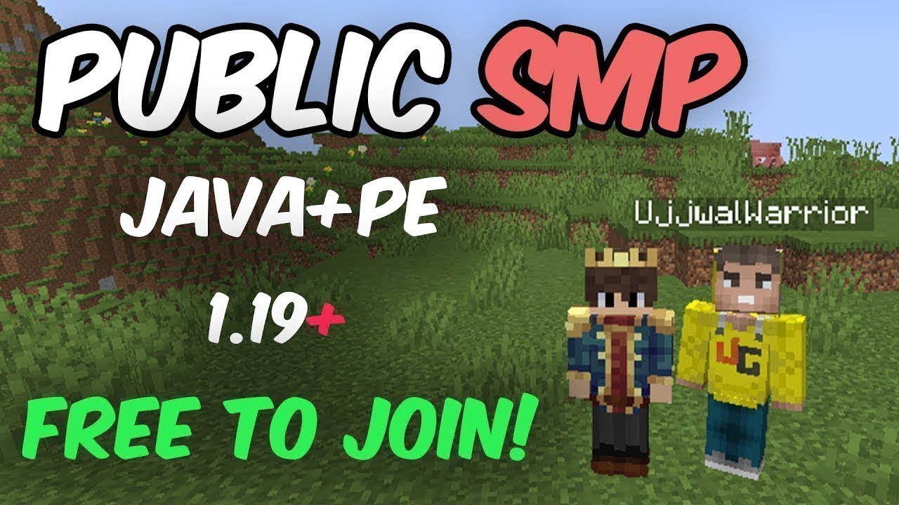 Streamer Vs Viewer In Minecraft Public SMP !LIVE - YouTube