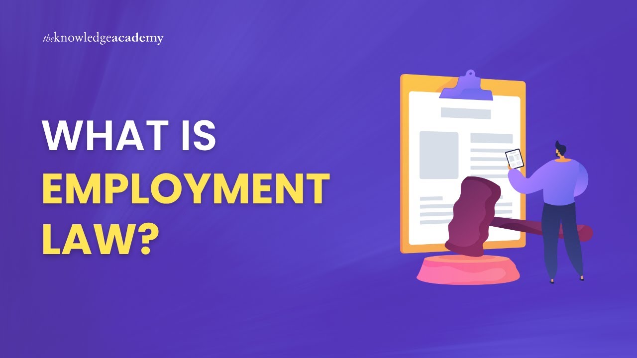 What is Employment Law | Introduction To Employment Law Under 2 Minutes ...