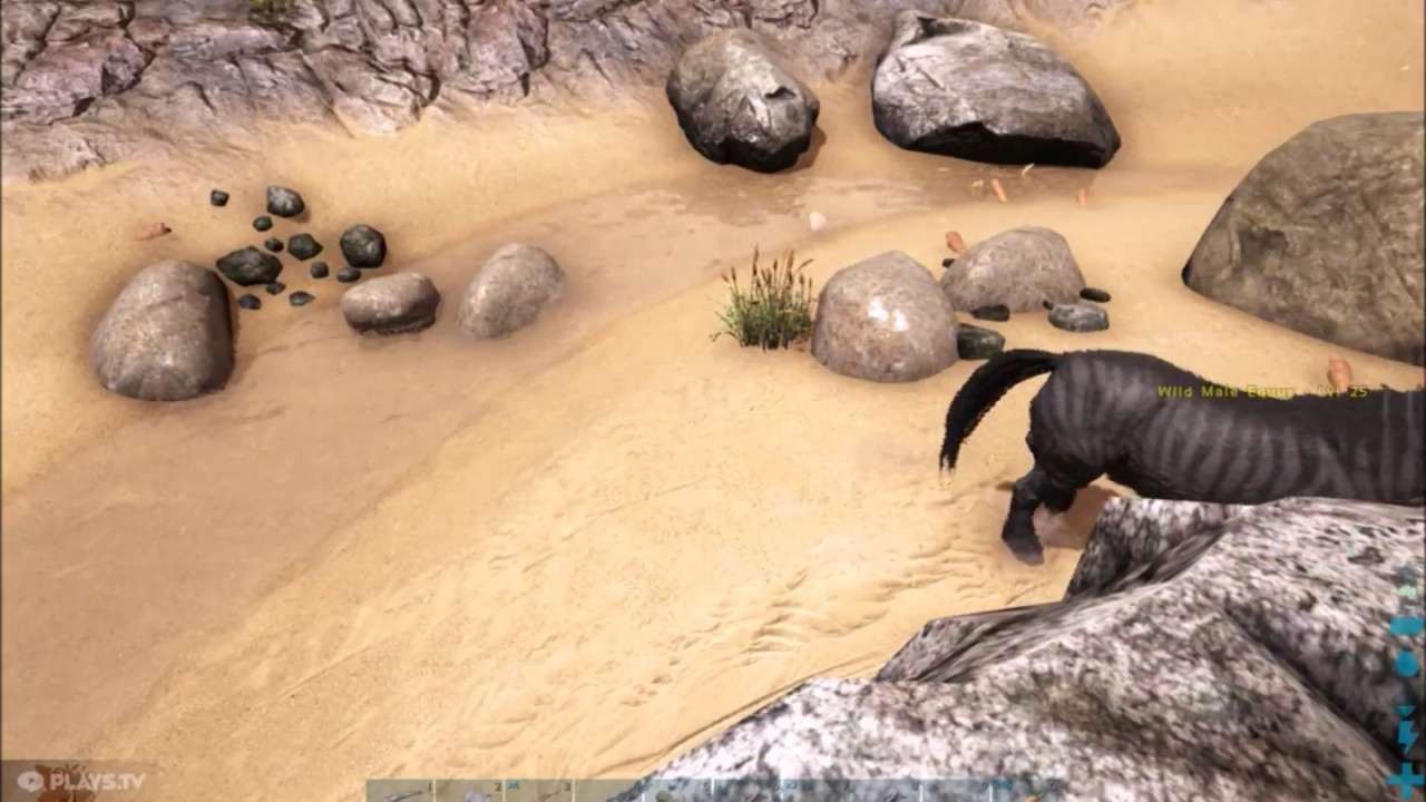 ARK Survival Evolved: Taming An Equus - YouTube