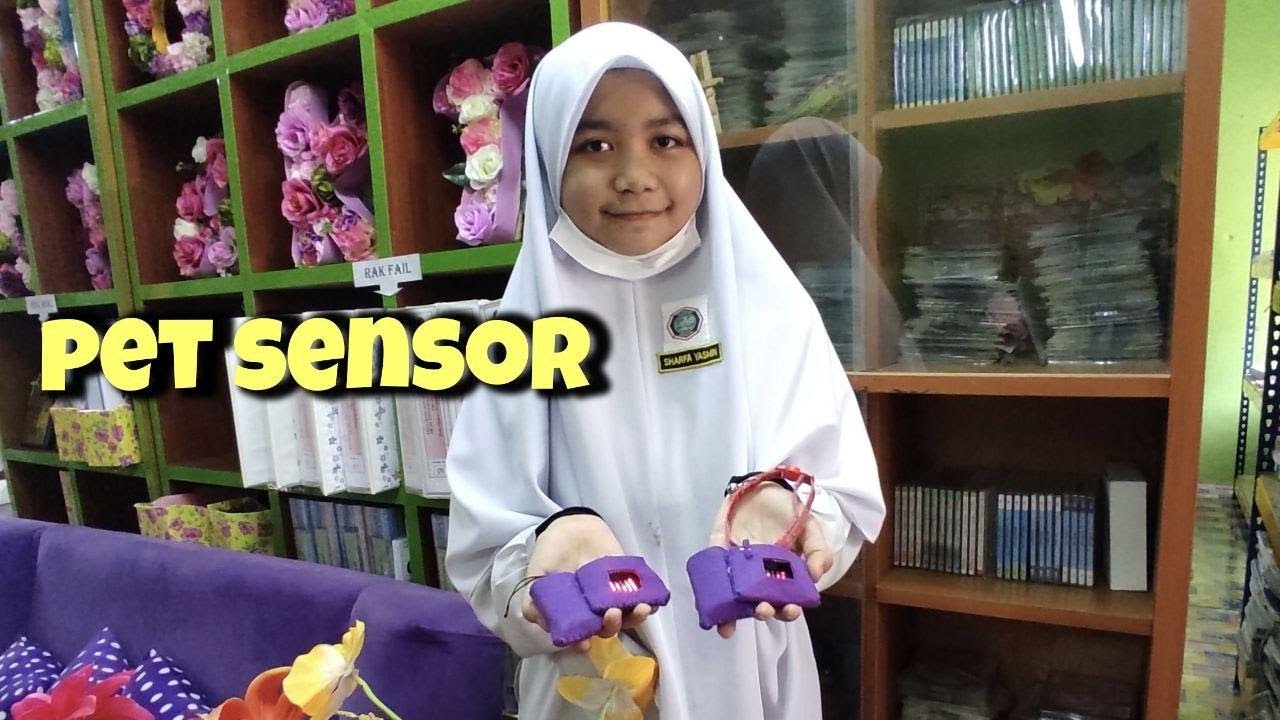 PET SENSOR : MICROBIT PROJECT - YouTube