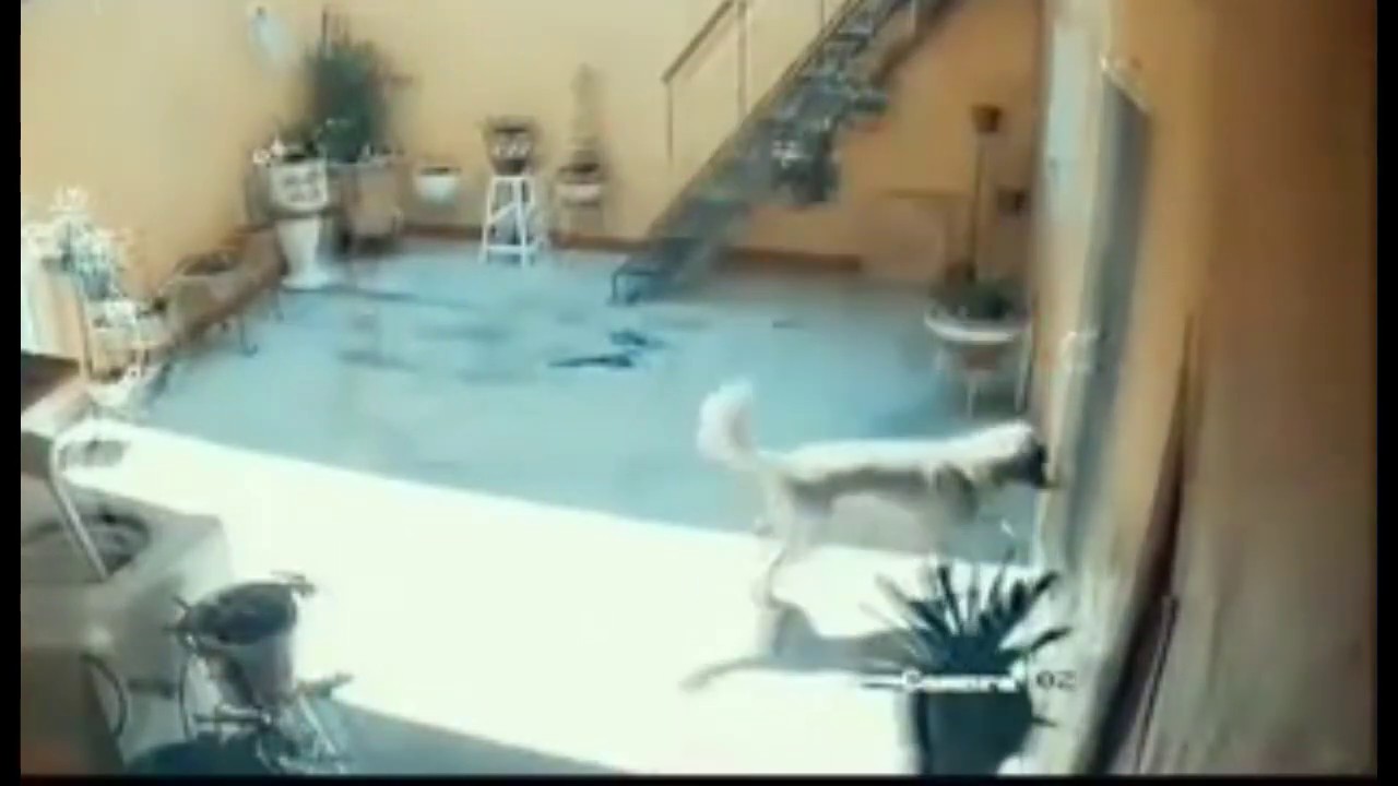 3 Videos Paranormales compartidos por suscriptores Parte 3 - YouTube