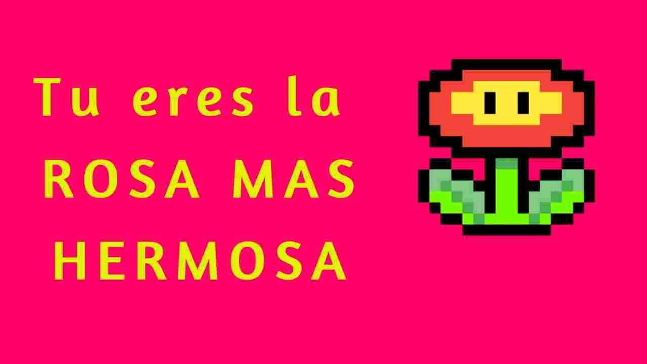 Tu eres la ROSA MAS HERMOSA - YouTube