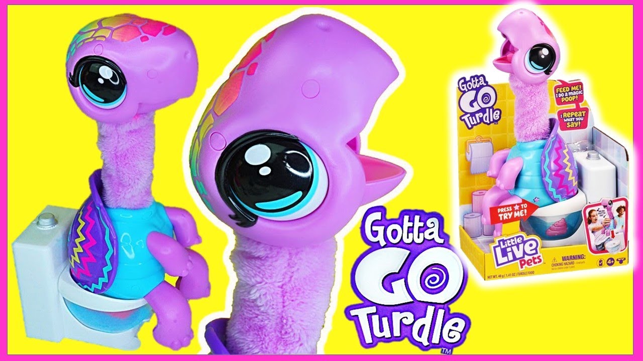 Gotta Go Turdle Shelbert! - Little Live Pets - Oh Oh Gotta Go #joyland ...