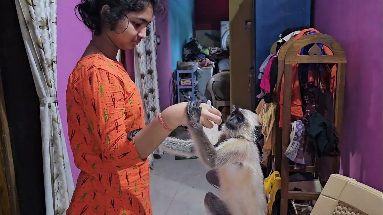 Why Sundri Chulbuli different from other Animals. - YouTube