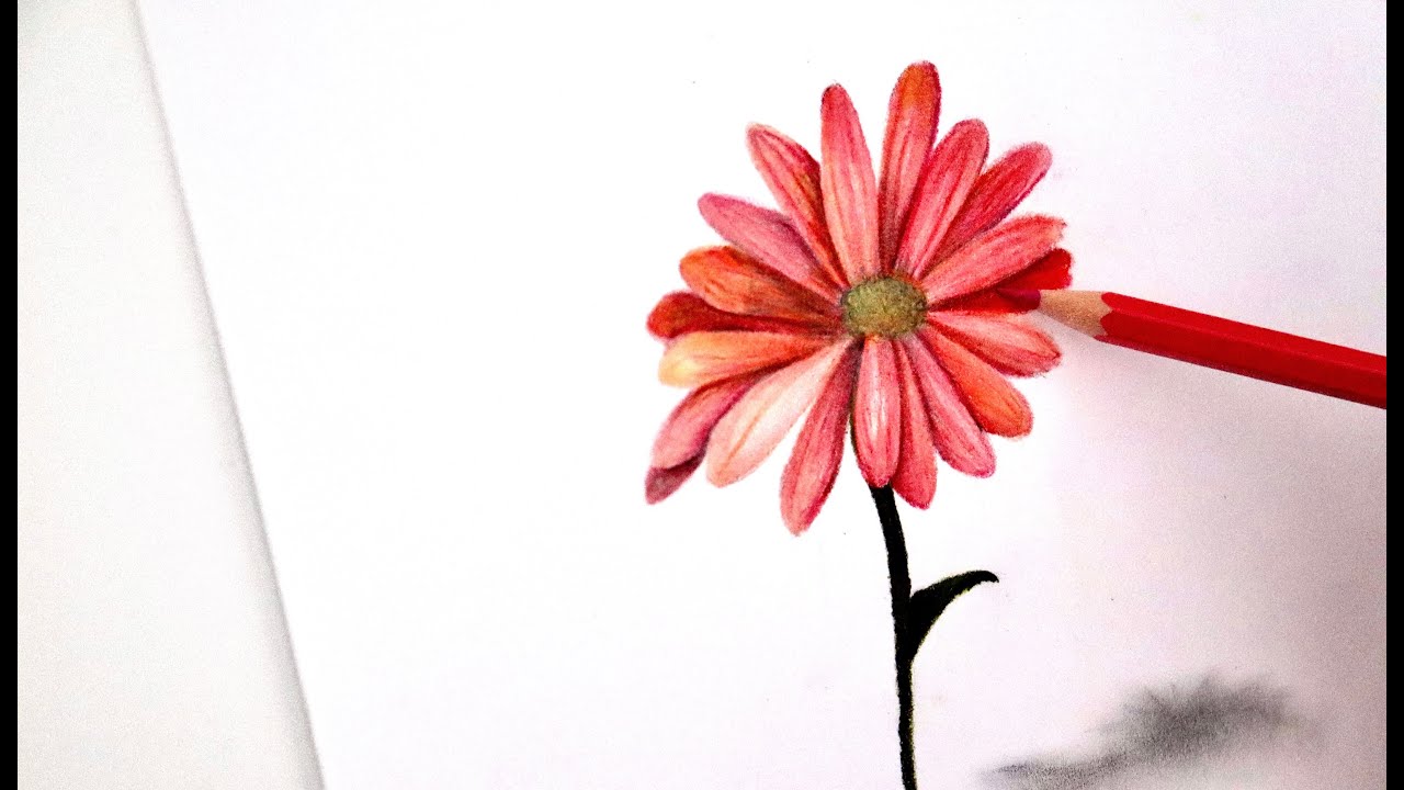 How To Draw A Flower With Colored Pencils | Colored Pencil Drawing ...
