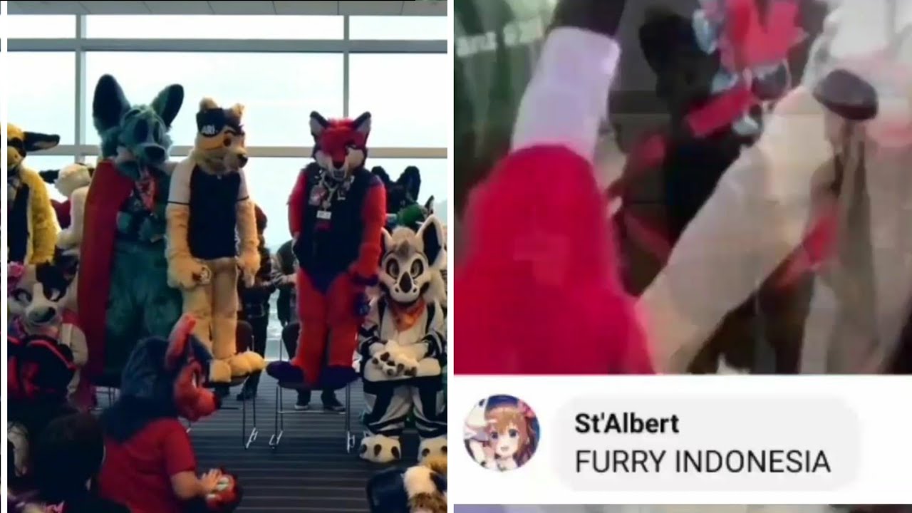 Furry indonesia? Solid solis solid 💪 - YouTube