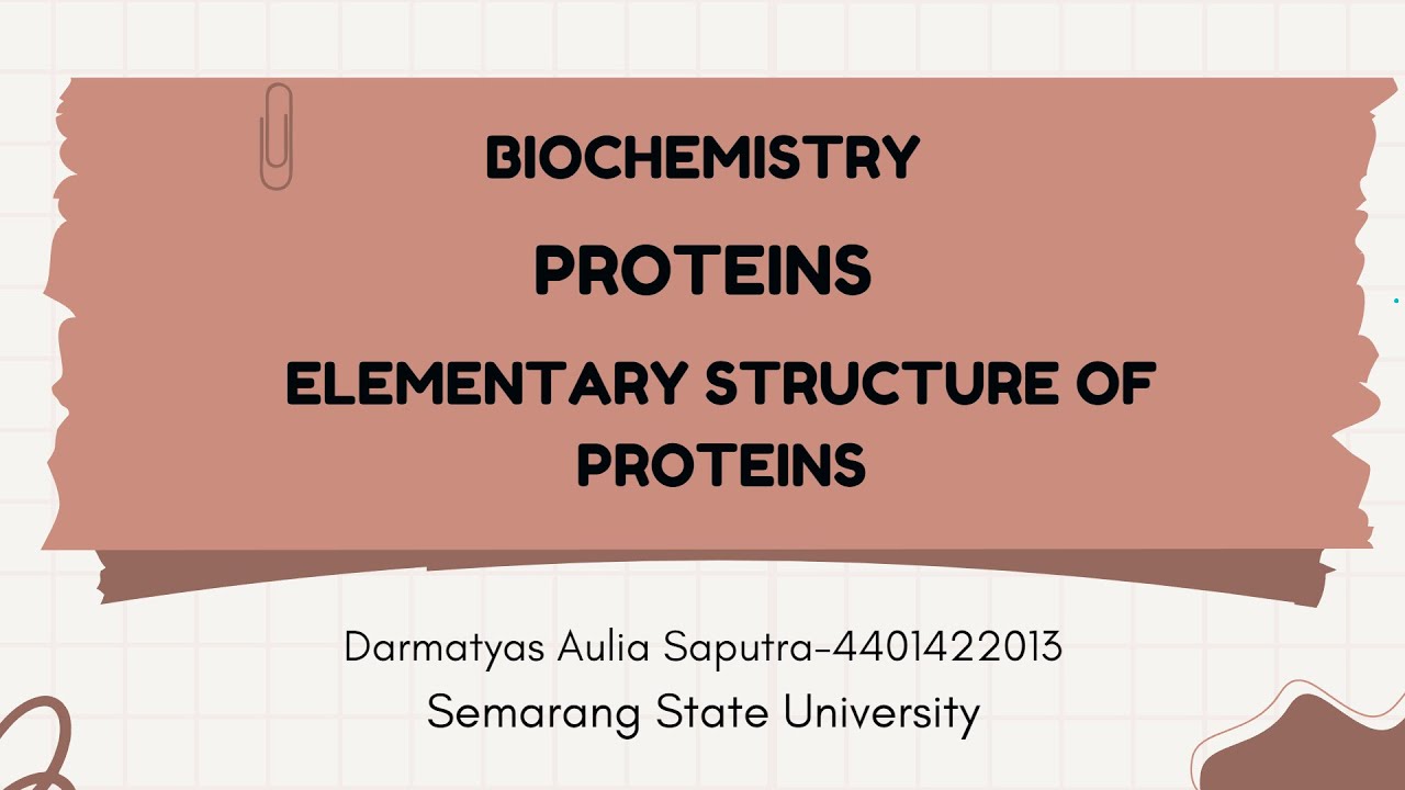 Presentation Biochemistry Lab Report - YouTube