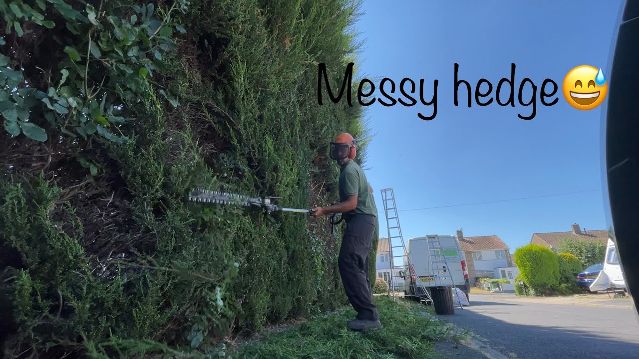Hedge cutting!😅 trimming up a messy conifer hedge! And an annoying ...