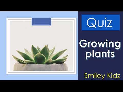 Growing plants quiz | Growing plants | Class 5 science chapter 1 quiz ...