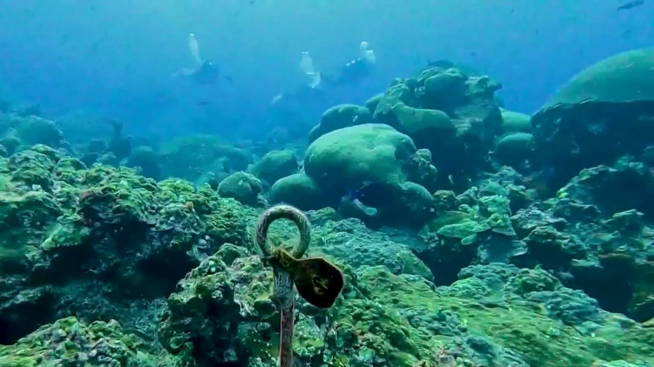 KPRC 2 Chief Meteorologist Anthony Yanez preview Garden in the Gulf ...