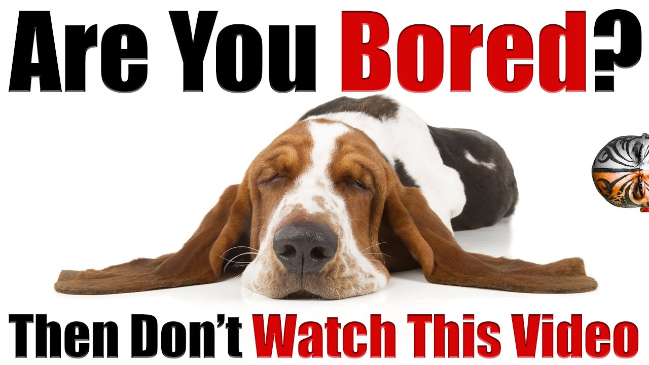 Video 4347 - From FREQUENTLY BORED To NEVER BORED - How I Overcome ...