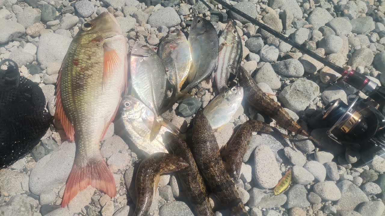 Surigao City Angler / Pamingwit Ep. 76 - YouTube