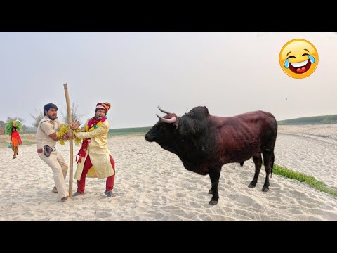 Very Funny Videos 2026 😂Try Not To Laugh Challenge 😅Top 100 Funniest Comedy Videos part 3 by OlFunny