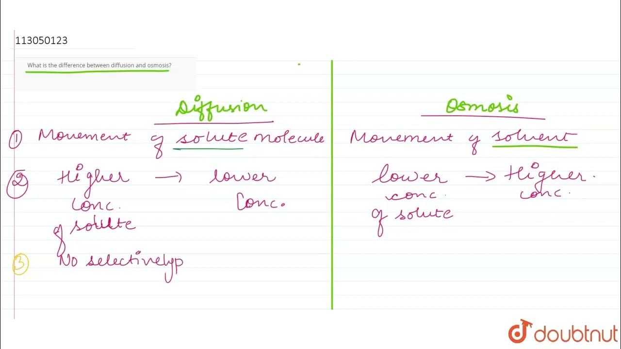 What Is The Difference Between Diffusion And Osmosis CLASS 9 CELL what-is-the-difference-between-diffusion-and-osmosis-class-9-cell