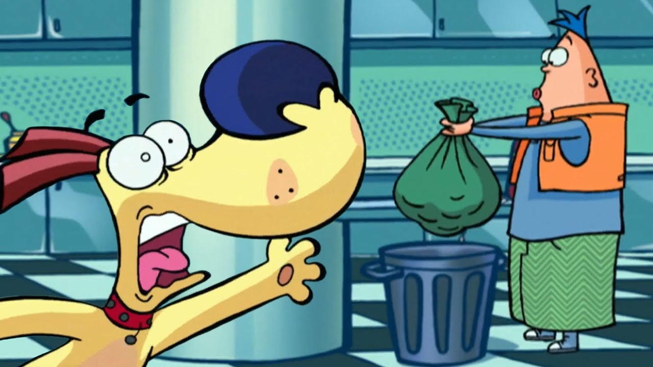 Corneil & Bernie: The Wedding Anniversary Disaster! Kids Cartoon ...