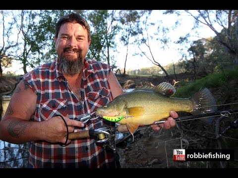 Awesome session lure fishing for Murray cod and Golden perch - YouTube