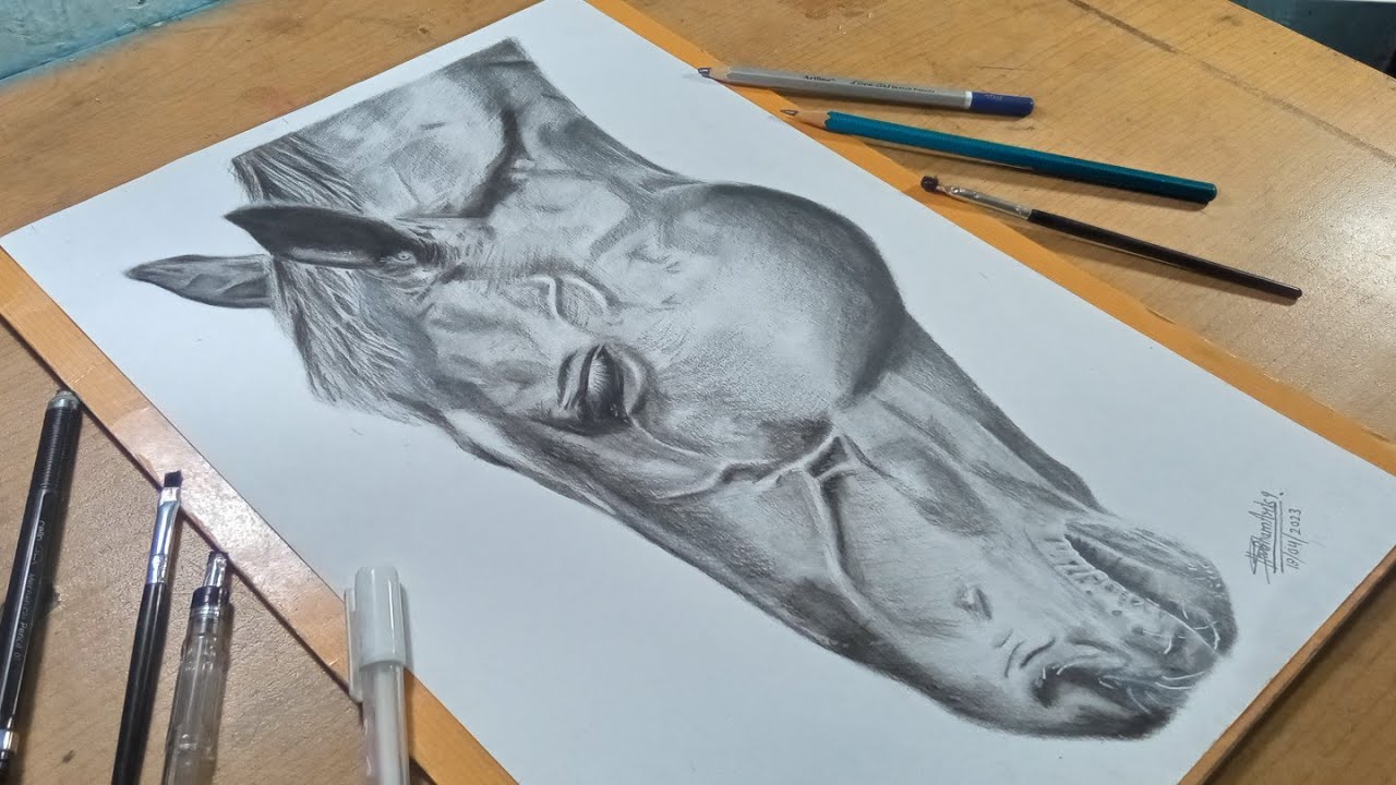 Drawing Horse For 8 Hours 🔥 - YouTube