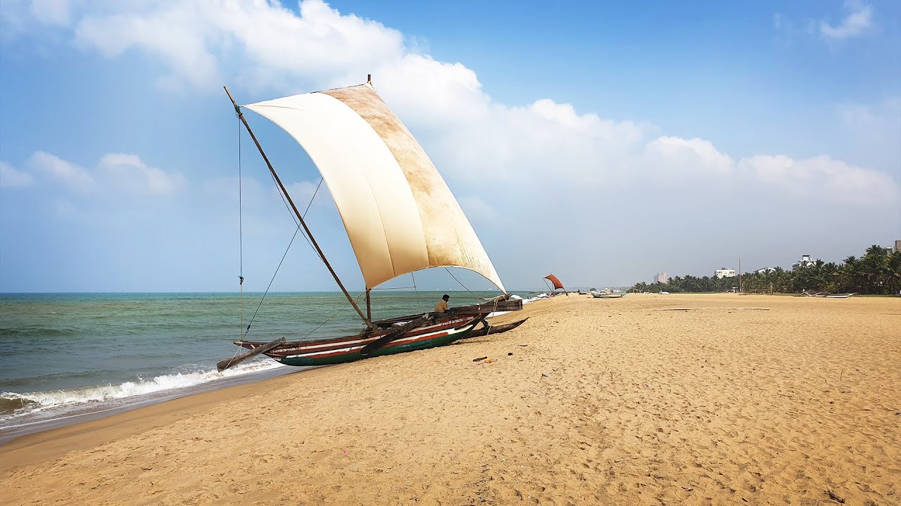 Your Ultimate Negombo Beaches Guide To Explore The Best Of Sri Lankan ...