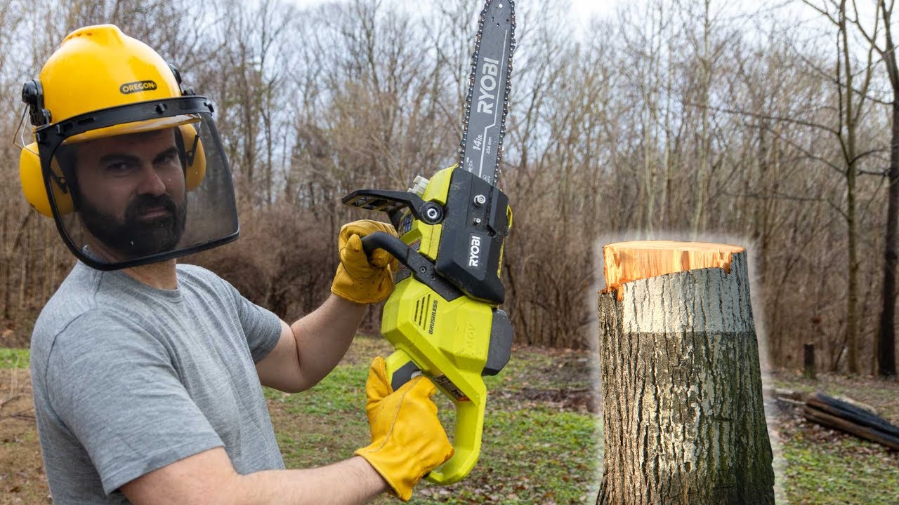 Ryobi electric chainsaw | First time cutting down a tree - YouTube