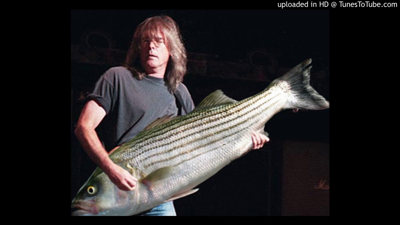 Tuner Fish - YouTube