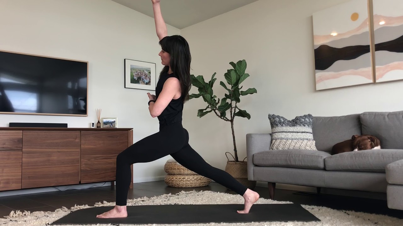 Step Back Lunge with Lateral Overhead Reach - YouTube