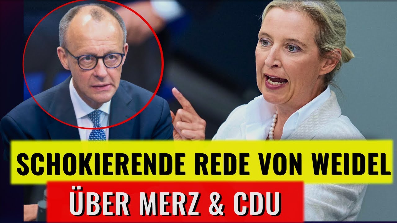 SCHOKIERENDE REDE von Alice Weidel über CDU & Friedrich Merz - YouTube