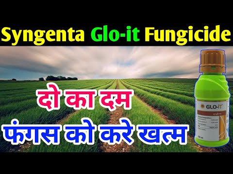 Glo-It Fungicide ।। Syngenta Glo-it Fungicide ।। Propiconazol 13.9% ...