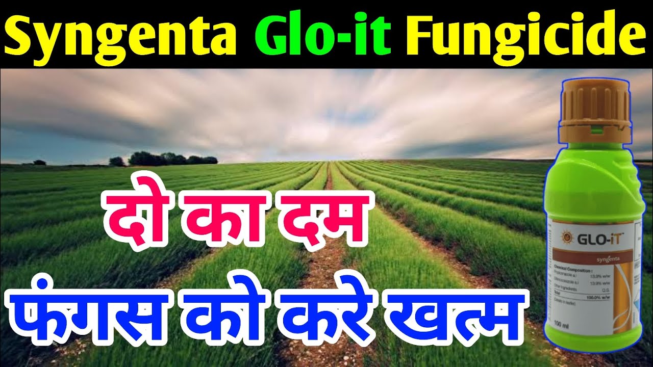 Glo-It Fungicide ।। Syngenta Glo-it Fungicide ।। Propiconazol 13.9% ...