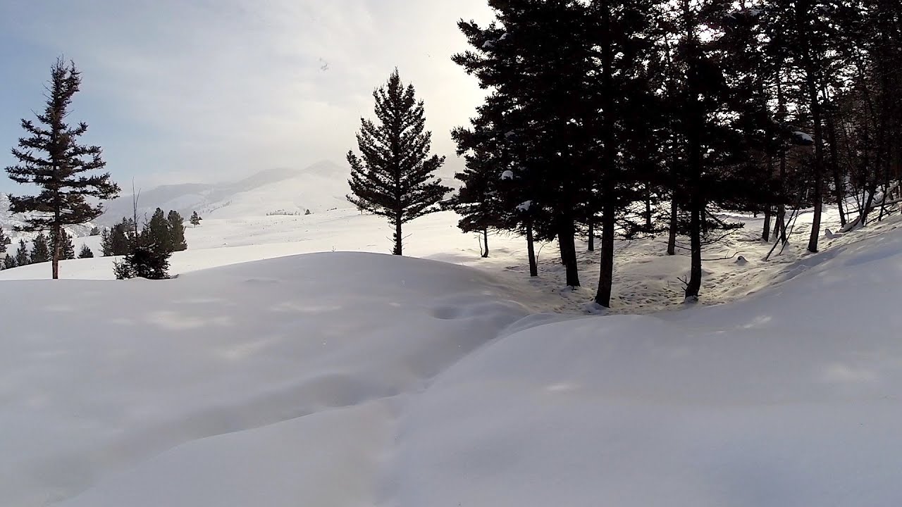 Ballad of Stan Mills and God's Beautiful Winter Creation - YouTube