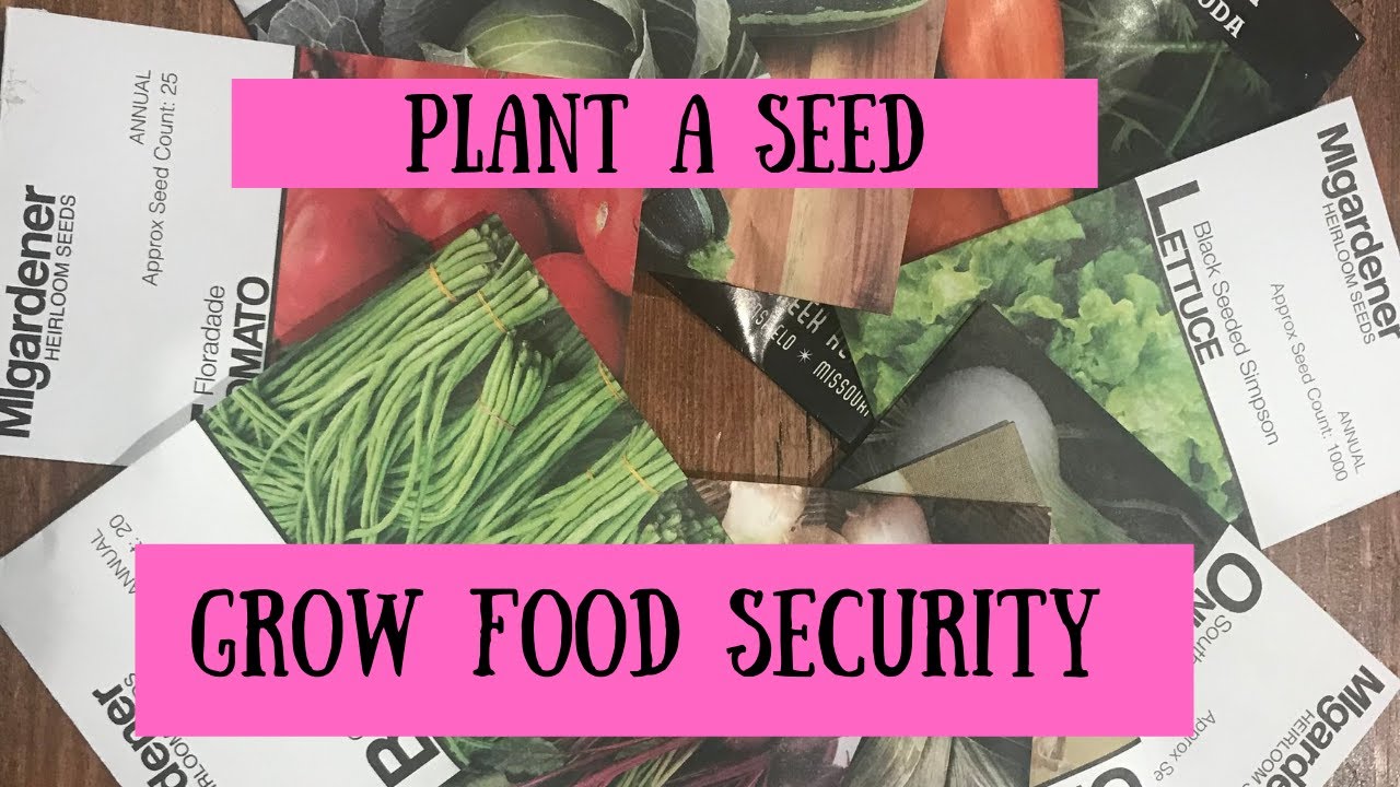 Plant a Seed...Grow Food Security - YouTube