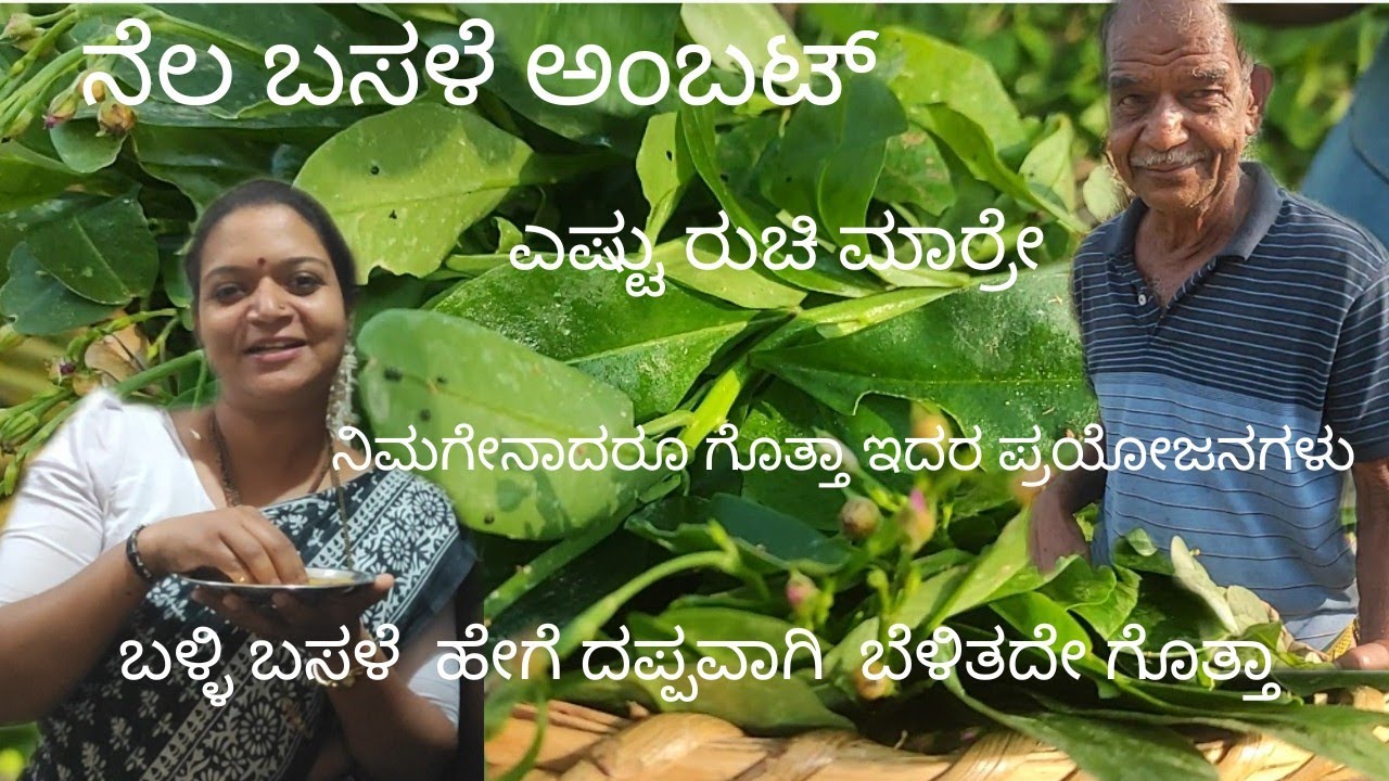 Nela Basale/Bombayi basale ambat in Gowda Saraswatha Brahmins style ...