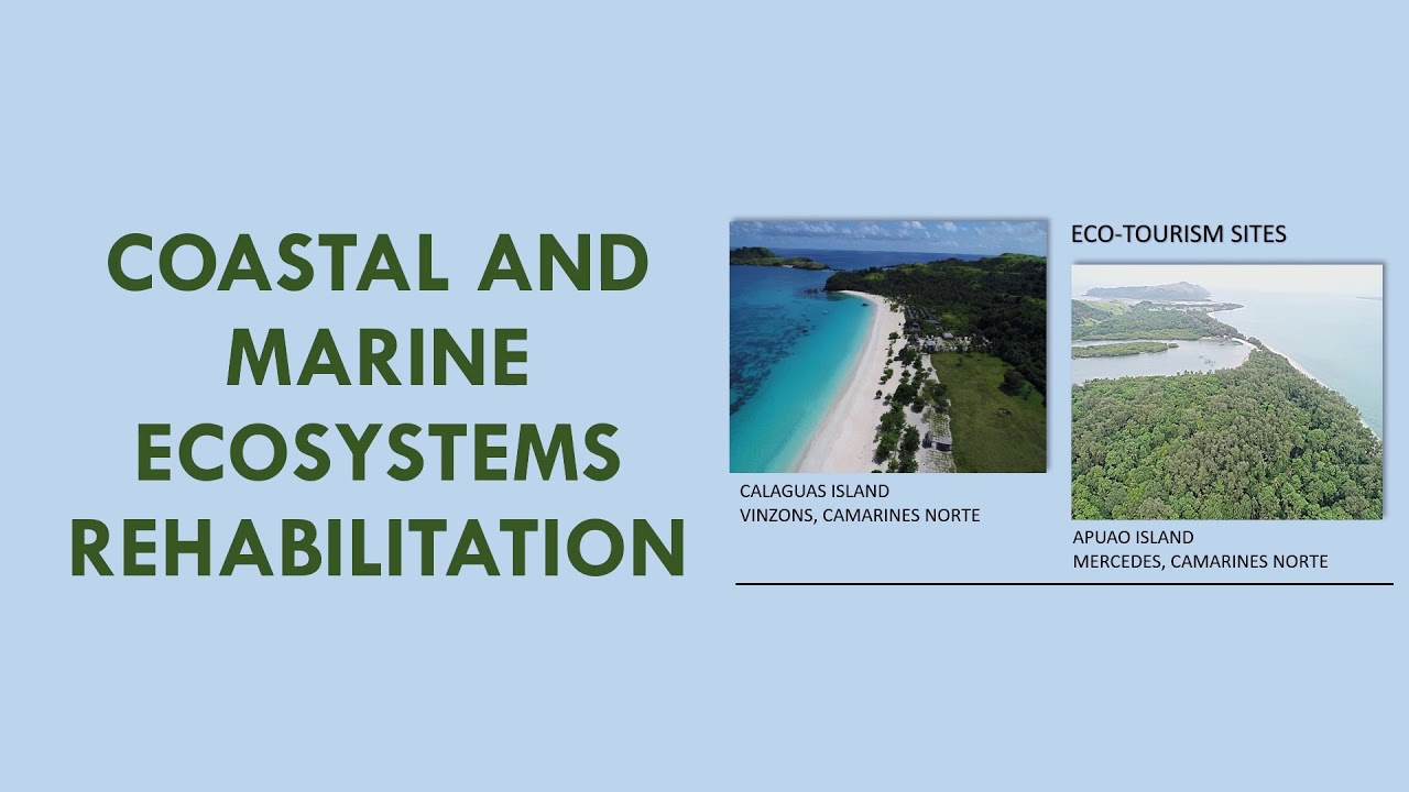 DENR Bicol Region Accomplishment 2020 - YouTube