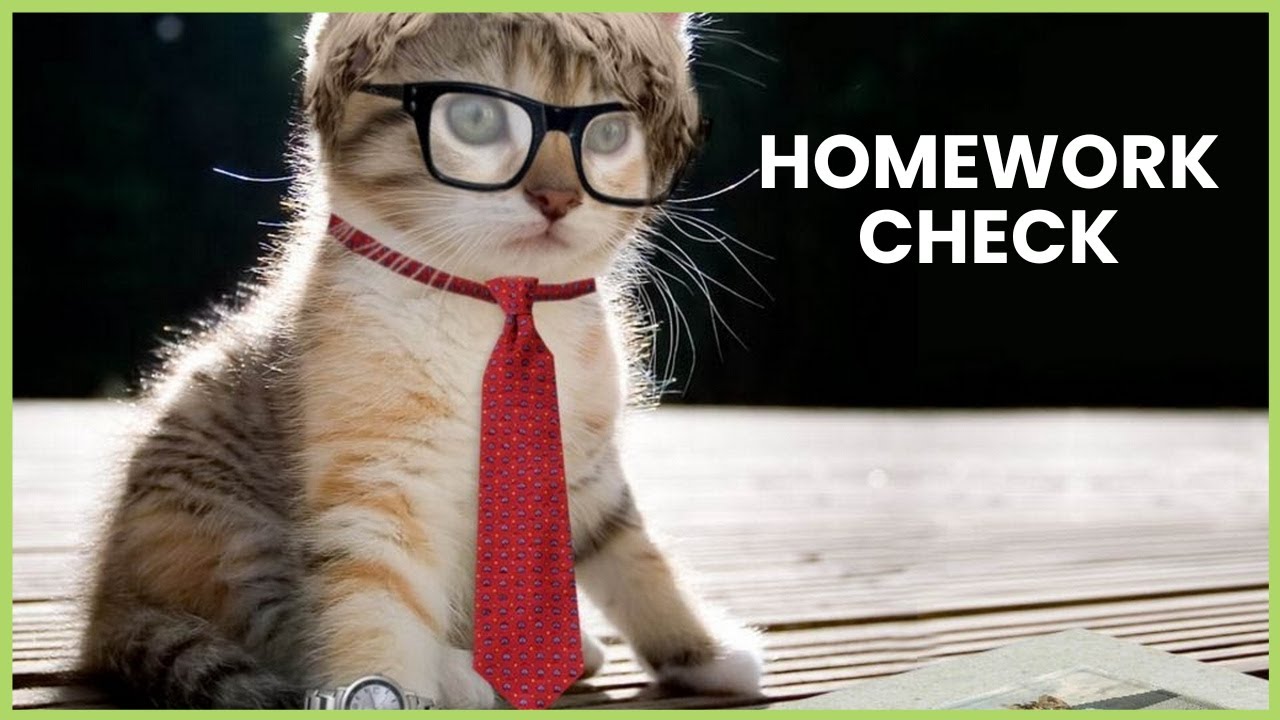 Checking English Homework - YouTube