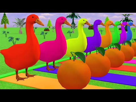 Duck Cartoon Vs Gorilla, Colorful Ducks Cartoon Wild Animals Cow Cat ...
