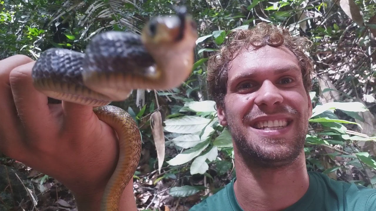 Baby snake almost bit my face! - YouTube
