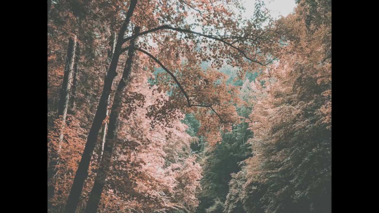 KUPLA - Still Breathing - YouTube Music