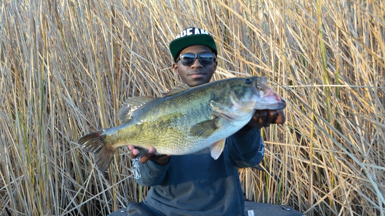 Catching A Big Bass On A Big Swimbait! - YouTube