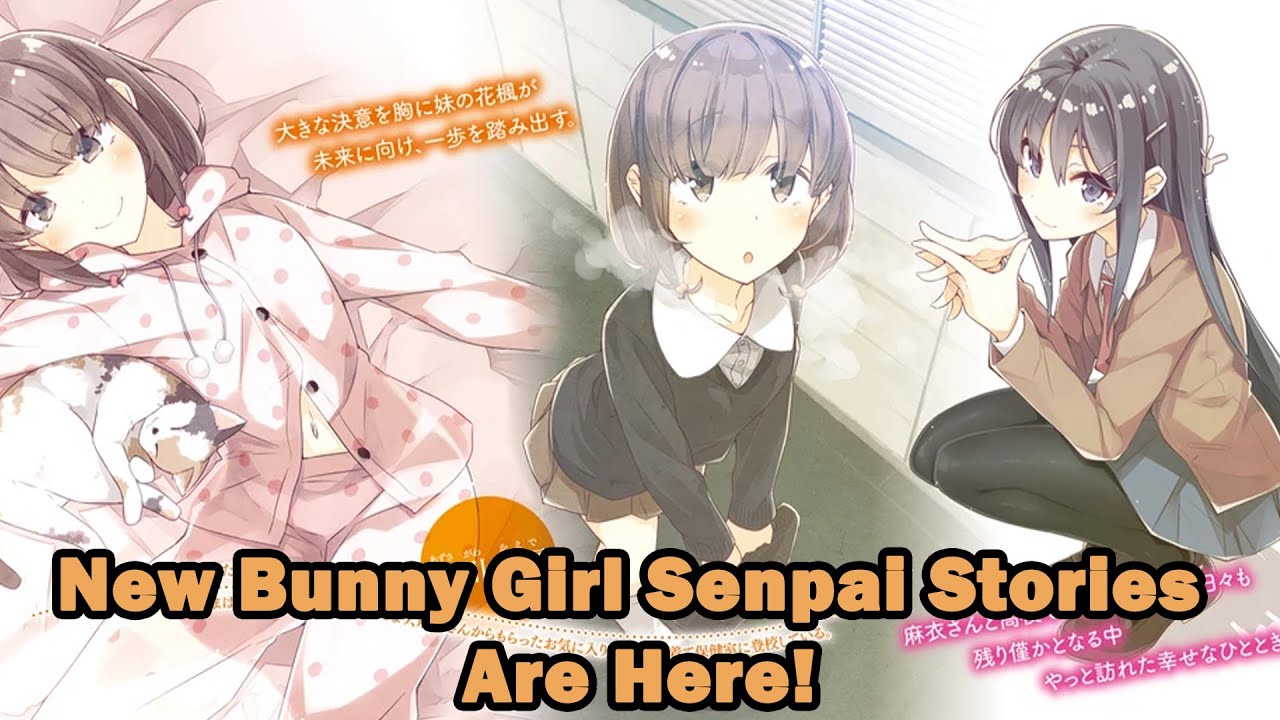 Light Novel Bunny Girl Senpai 8 at Jacob Honda blog