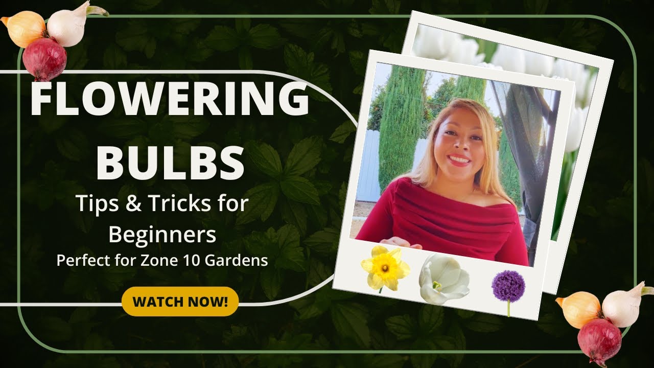 The Secret to Perfect Spring Blooms: Why and How to Chill Your Bulbs ...