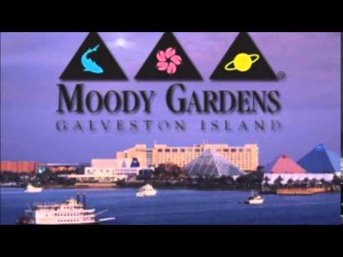 Moody Gardens Galveston Island's Latest Attraction: 'SpongeBob SubPants ...