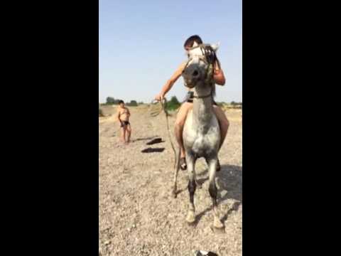 gurcustan asagi saral kendi