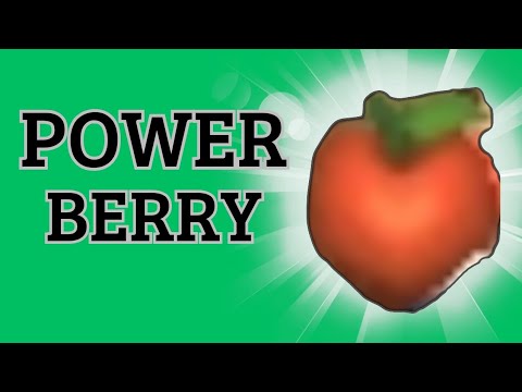 Cara Lengkap Mendapatkan 11 Power Berry Di Harvest Moon Back To Nature ...