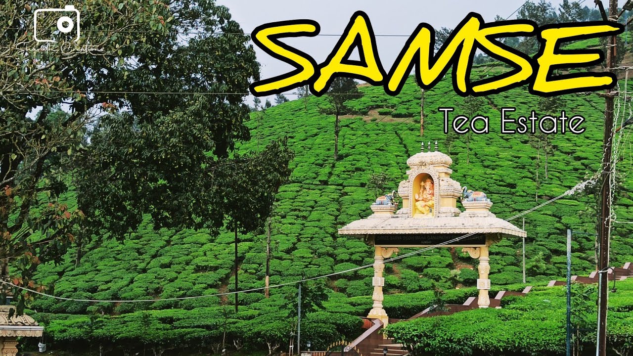 SAMSE Tea Estate Kalasa Horanadu - YouTube