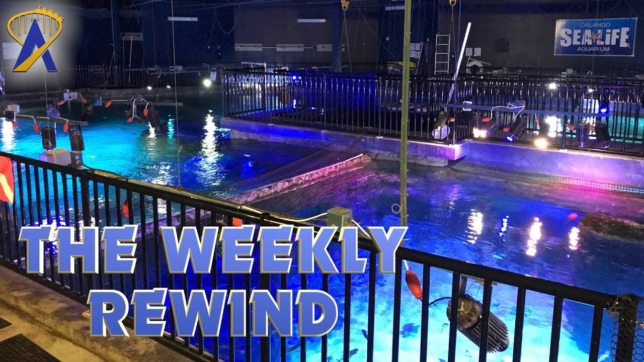The Weekly Rewind - Sea Life Orlando, Disney Springs updates and more ...