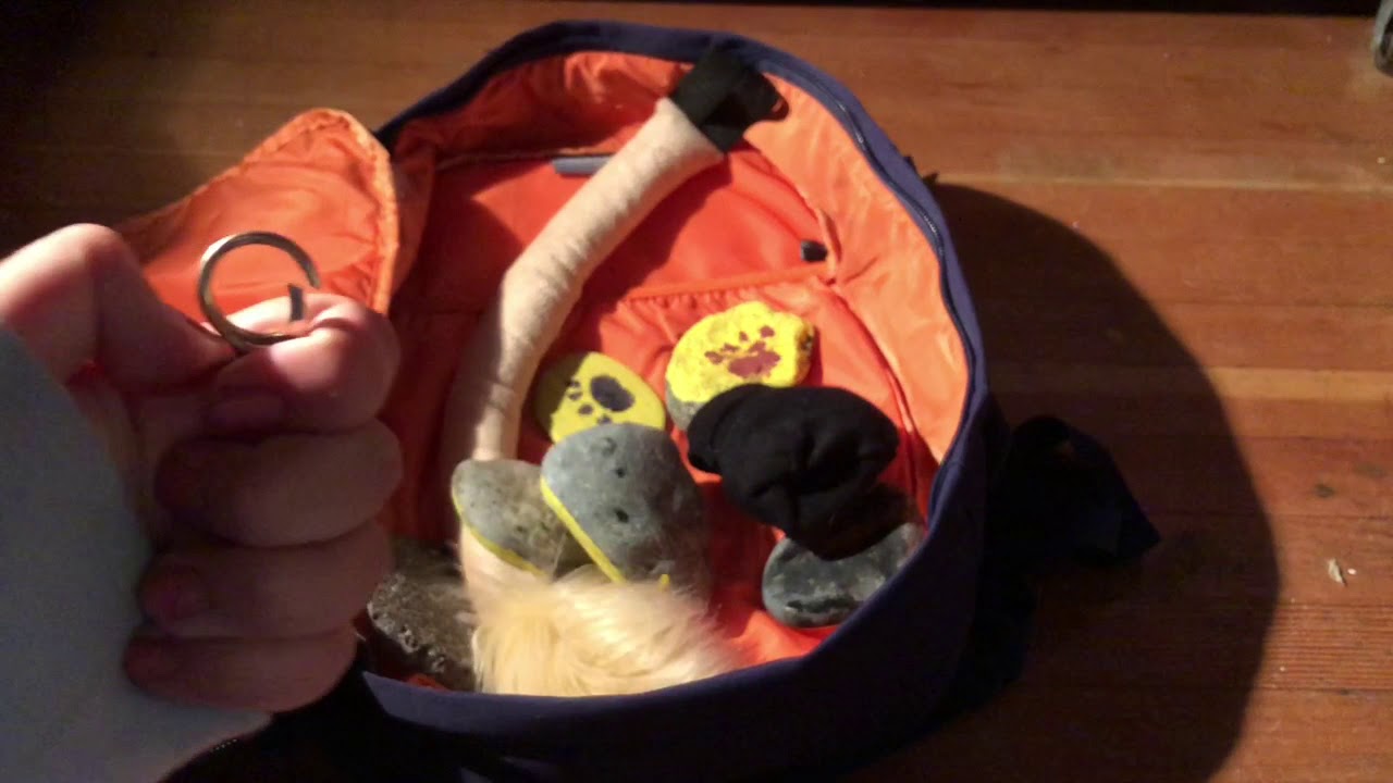 My Therian Bag - YouTube